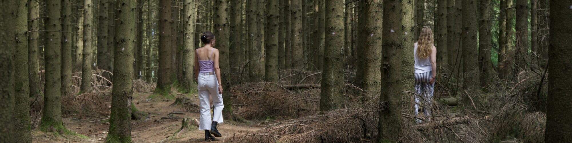 Nota Bene entdeckt Land of Memory - Land Of Memory